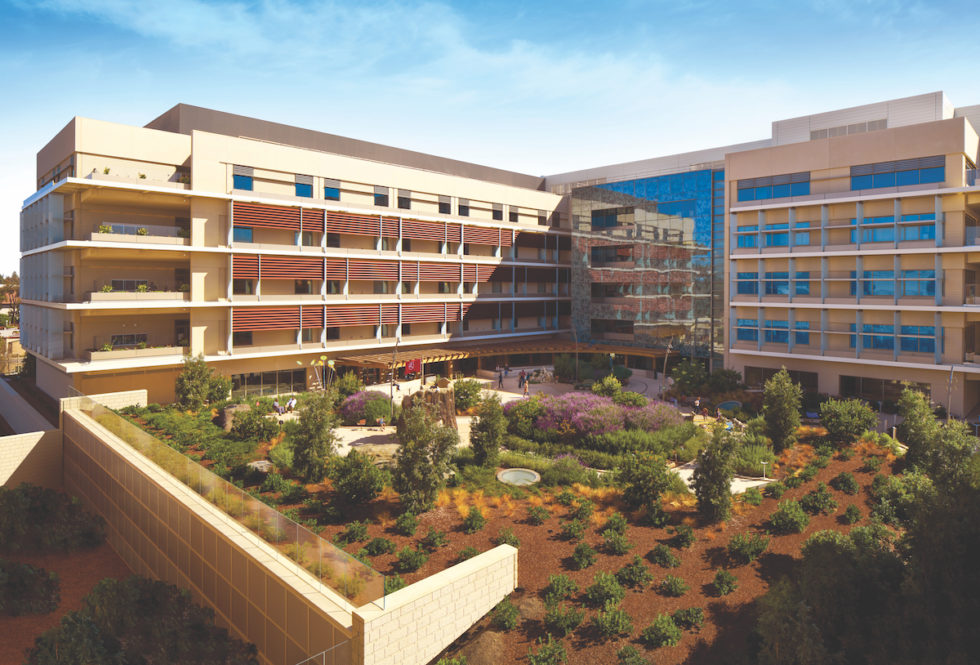 9 Hospital Design Ideas That Make Patients Feel at Home
