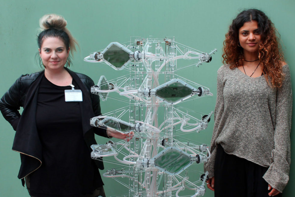 Designers are Using Algae in Ways You’d Never Think Of - gb&d