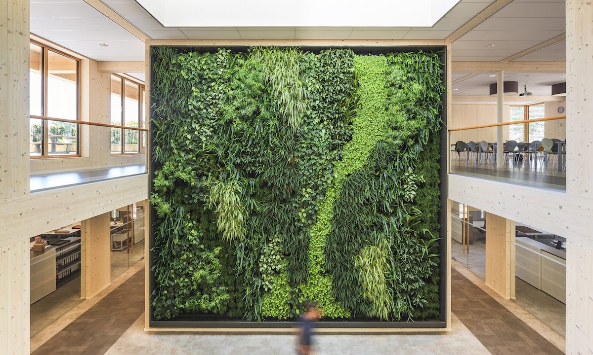 What is Biophilic Design? Trends & Examples in 2025
