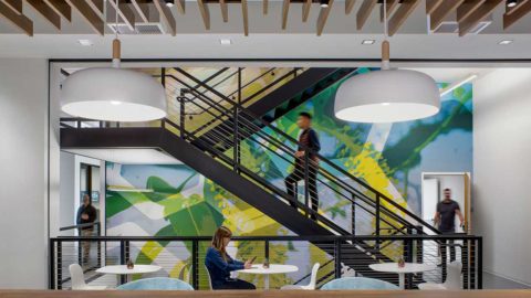 20 LEED Platinum Buildings