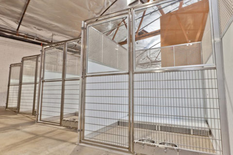 4 Things to Consider When Integrating Kennels Into Design - gb&d