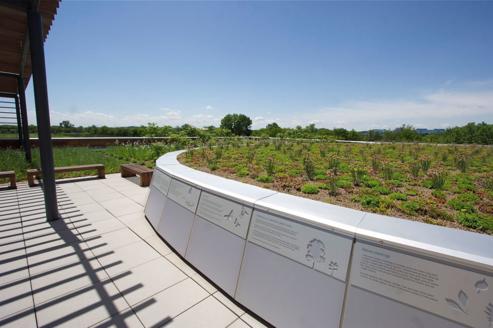 A Guide to Understanding and Installing Green Roofs in 2025