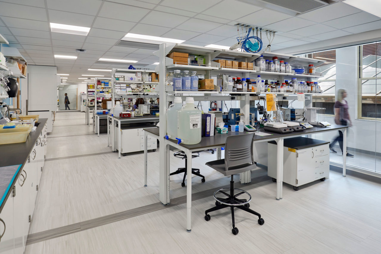 An Expert's Guide to Sustainable Flooring