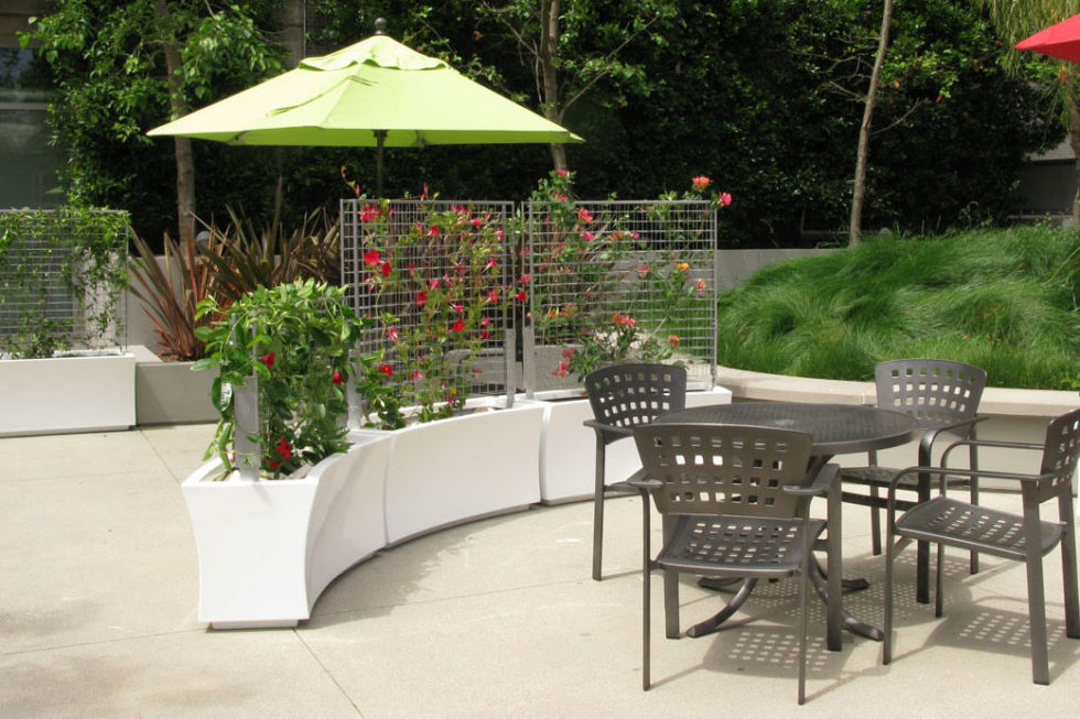 How to Incorporate Biophilic Design in Any Space - gb&d