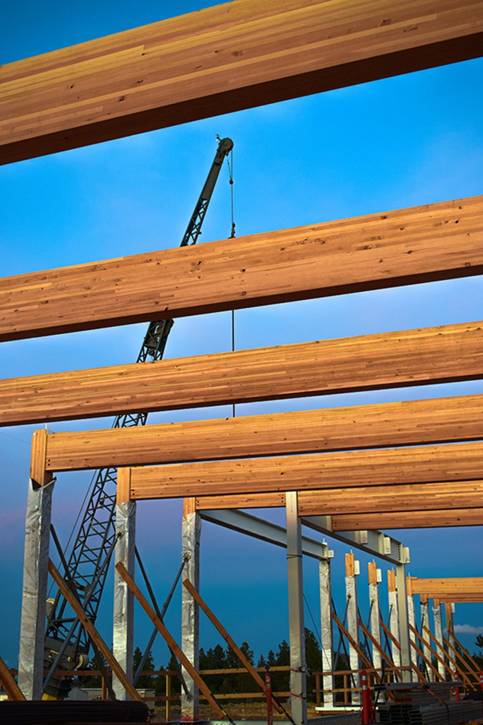 Mass Timber and Net-Zero Design for Higher Education and Lab Buildings