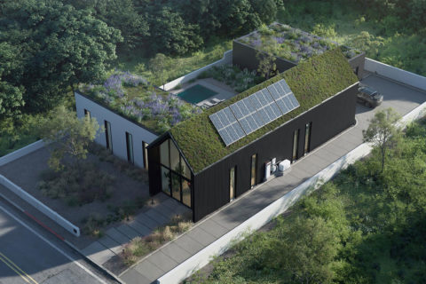 A Guide to Understanding and Installing Green Roofs in 2025
