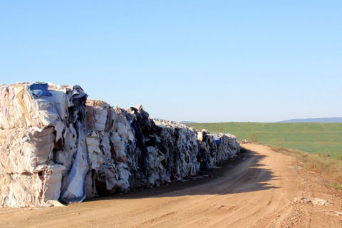 Eco-Friendly Carpet: 4 Ways to Source Sustainable Carpeting - gb&d