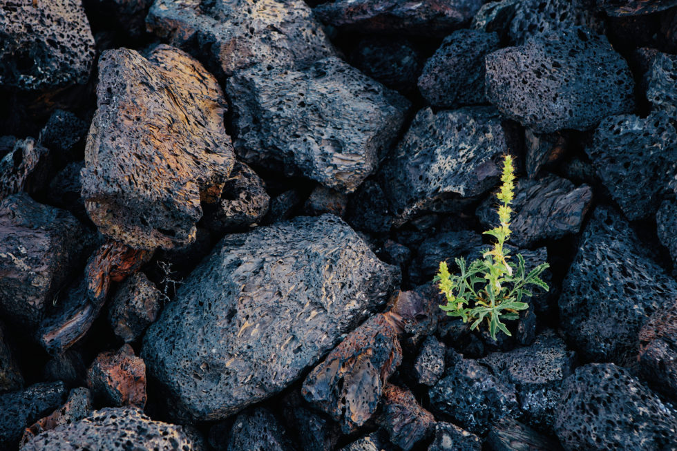 What is the Best Thermal Insulation Material?