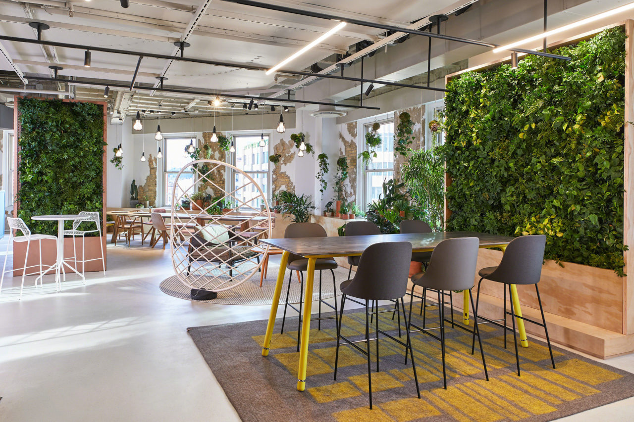What is Biophilic Design? - gb&d