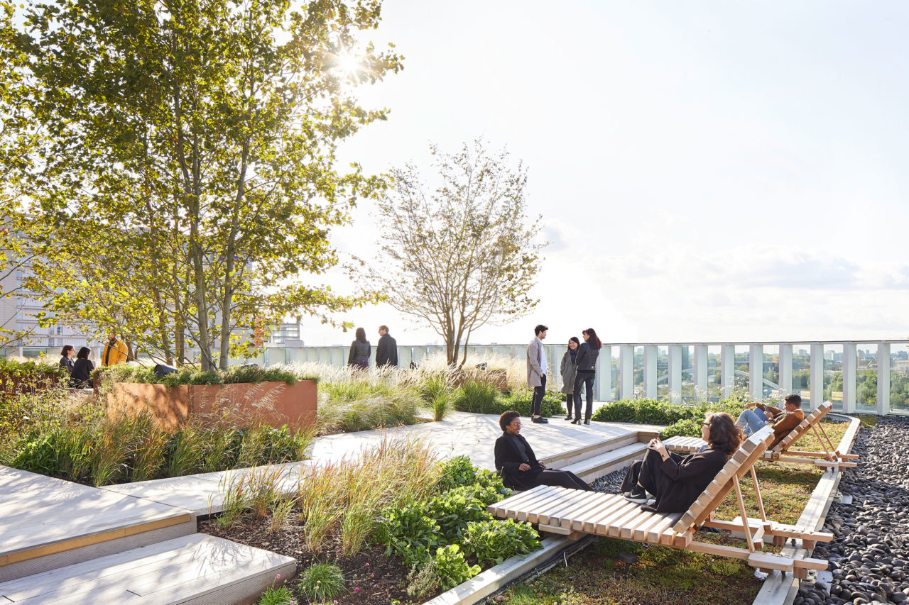 How Can Brownfields Be Redeveloped?