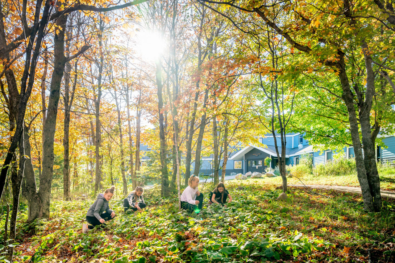 What is Regenerative Architecture?