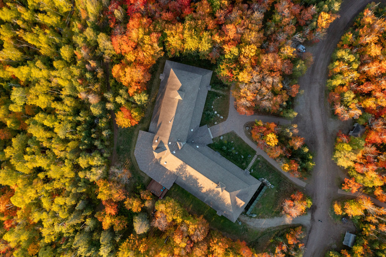 A Guide to Understanding the Red List in Design