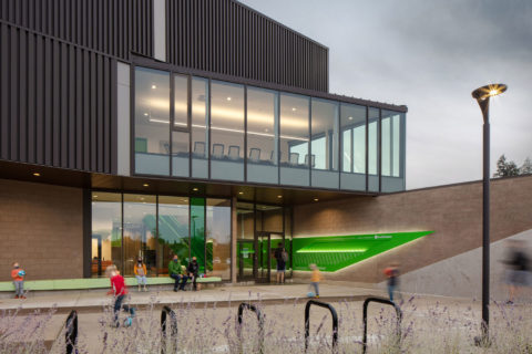 Types of Daylighting - Benefits and Examples in 2024