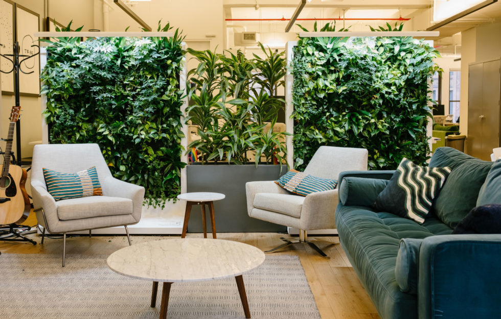 6 Practical Tips for Designing Healthy Spaces - gb&d