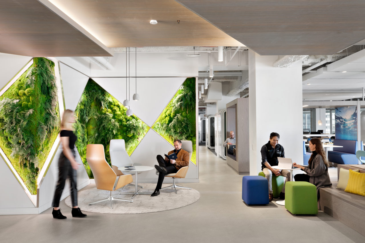 What is Biophilic Design? Trends & Examples in 2024