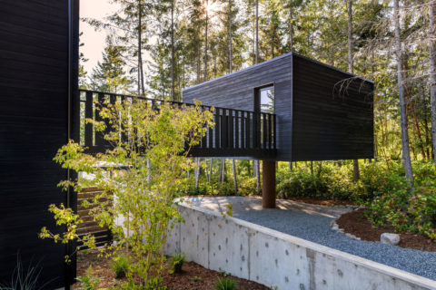 What is Shou Sugi Ban? Examples and Photos