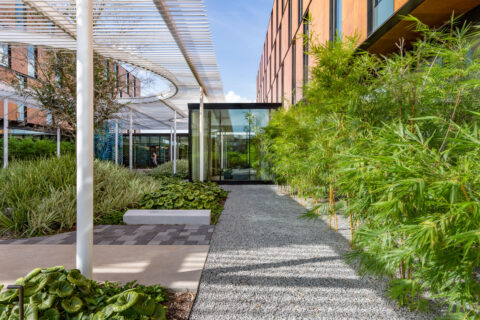 Types of Daylighting - Benefits and Examples in 2024