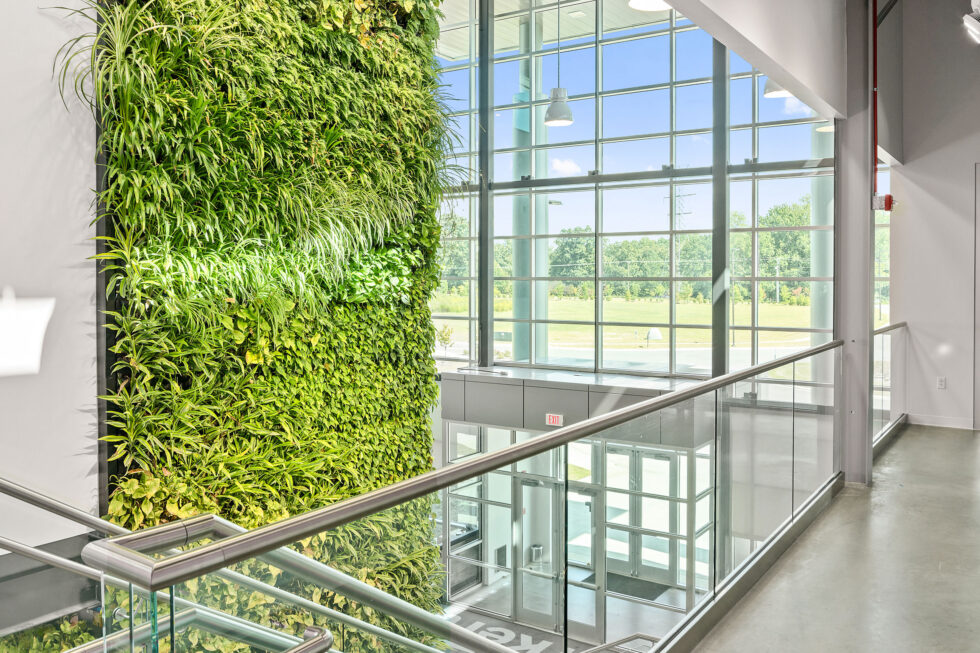 What is Biophilic Design? Trends & Examples in 2024