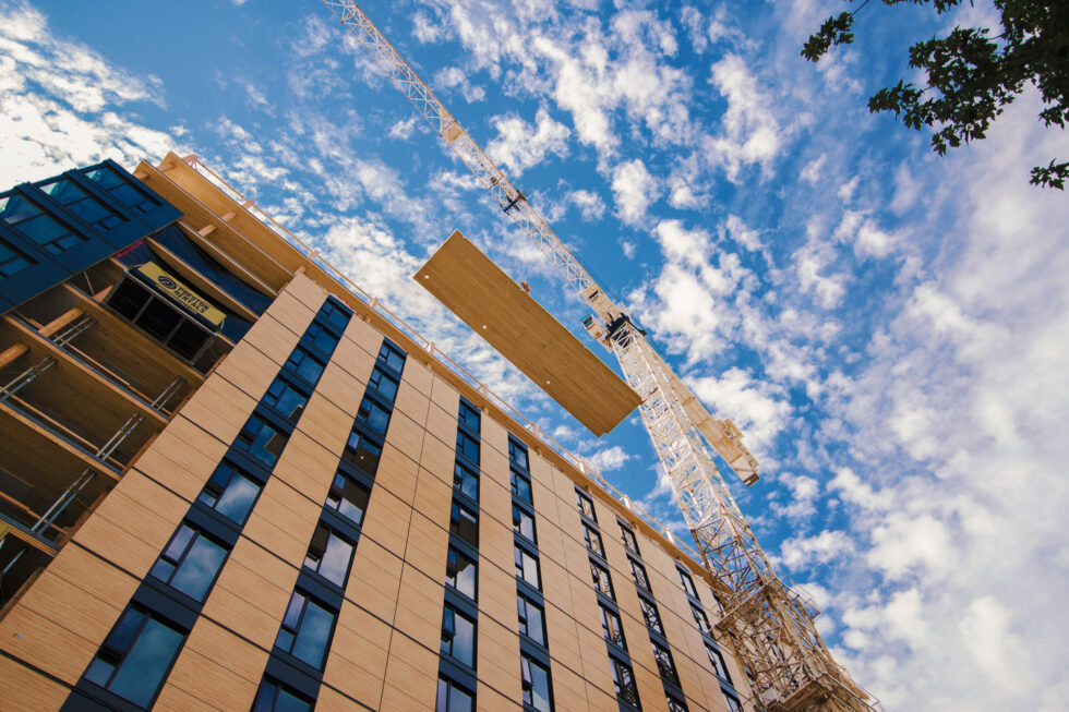 25 Sustainable Building Materials in 2024