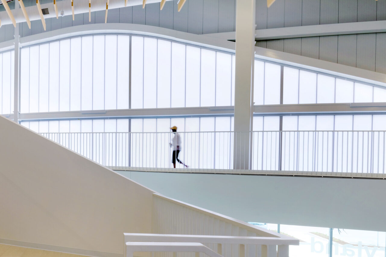 What is Biophilic Design? Trends & Examples in 2024