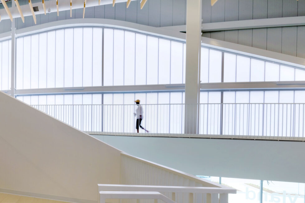 What is Biophilic Design? Trends & Examples in 2024