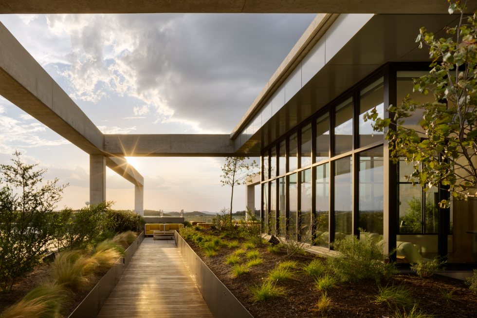 A Guide to Understanding and Installing Green Roofs in 2025